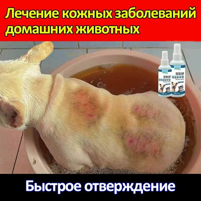 Спрей от стригущего лишая для кошек и собак используется при зуде, выпадении волос и эрозии