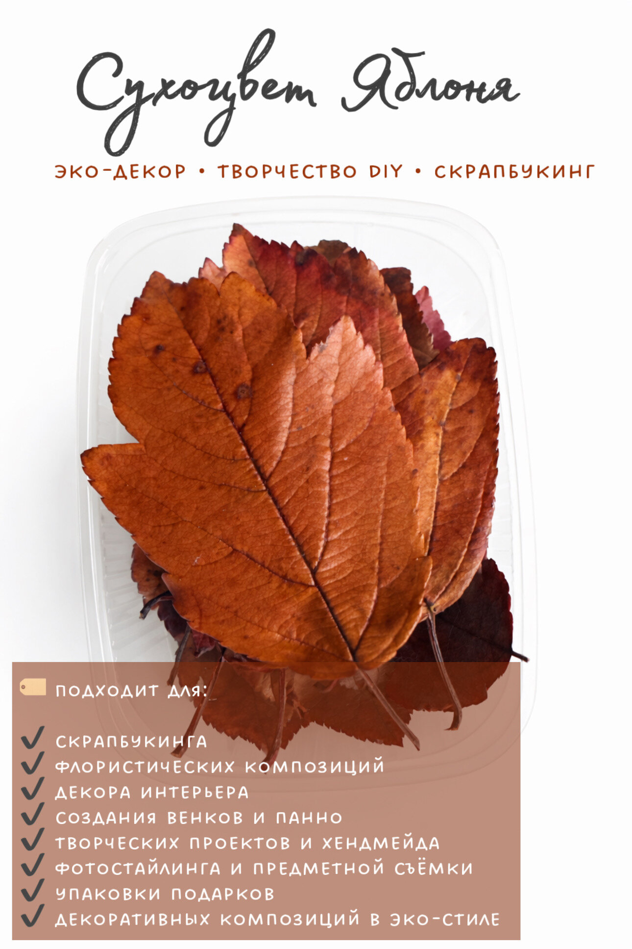 Сухоцвет декоративной яблони для творчества DIY эко-стиль флористика