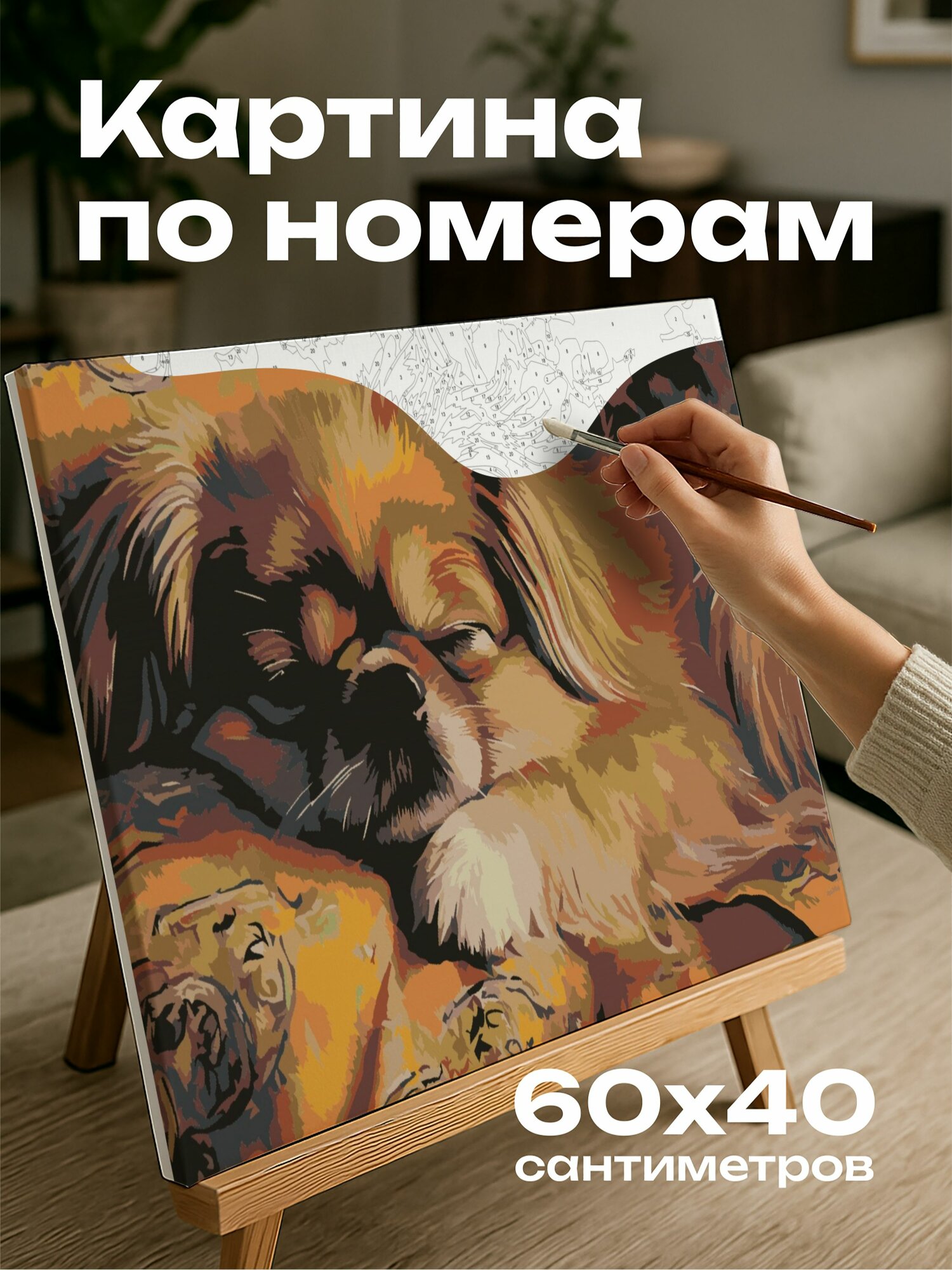 Картина по номерам 60x40 см, Пекинес, масляная картина, золотая подушка, узоры, символы, долголетие, счастье