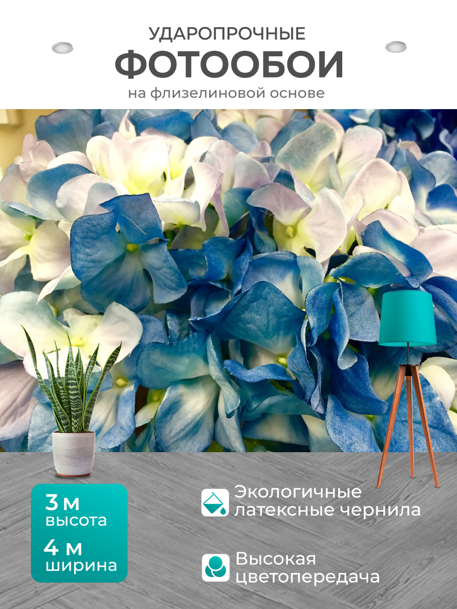 Фотообои моющиеся ударопрочные "Гортензия, синий, белый" 400x300 см. флизелиновые на стену