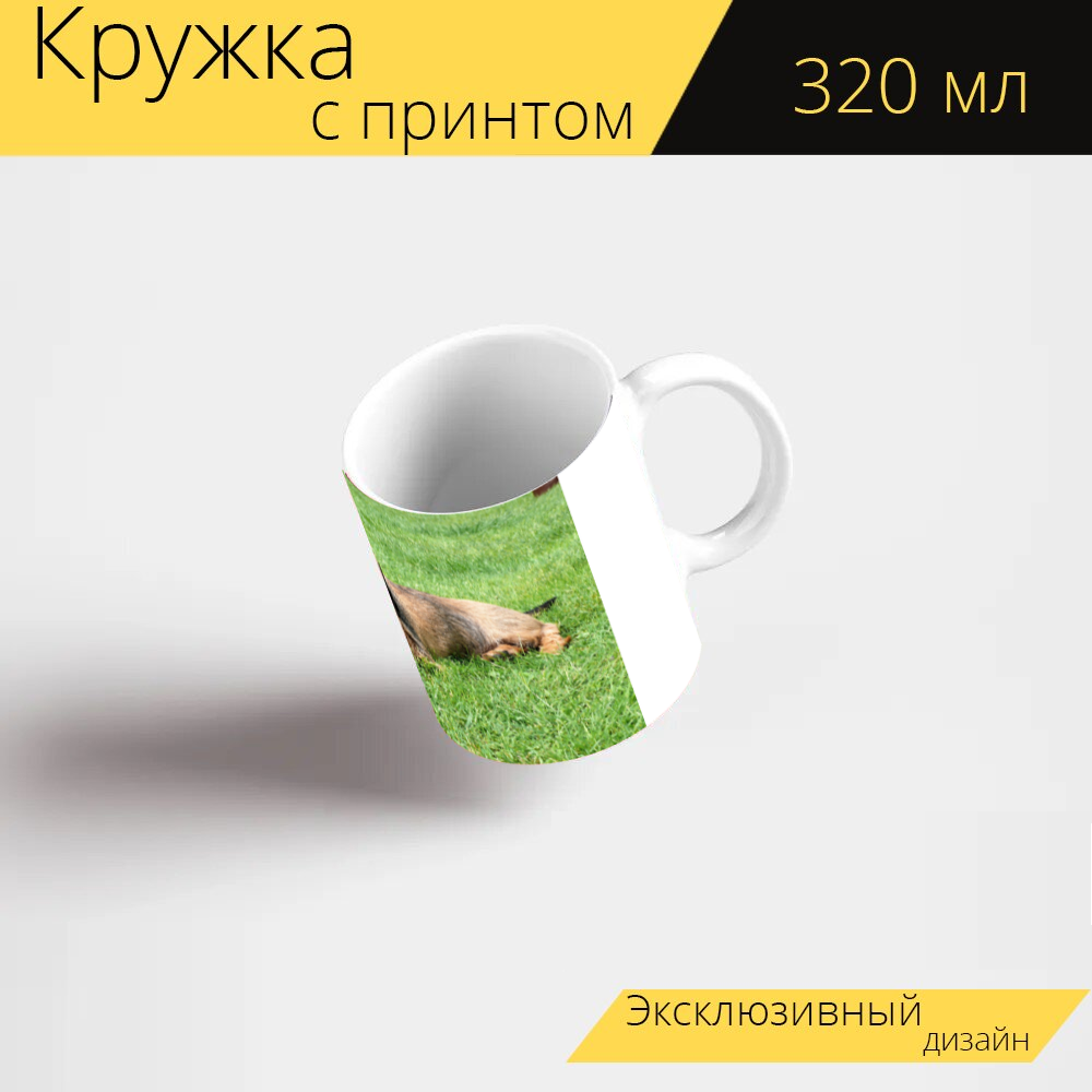 Кружка с рисунком, принтом "Карликовая такса, такса, собака" 320 мл.