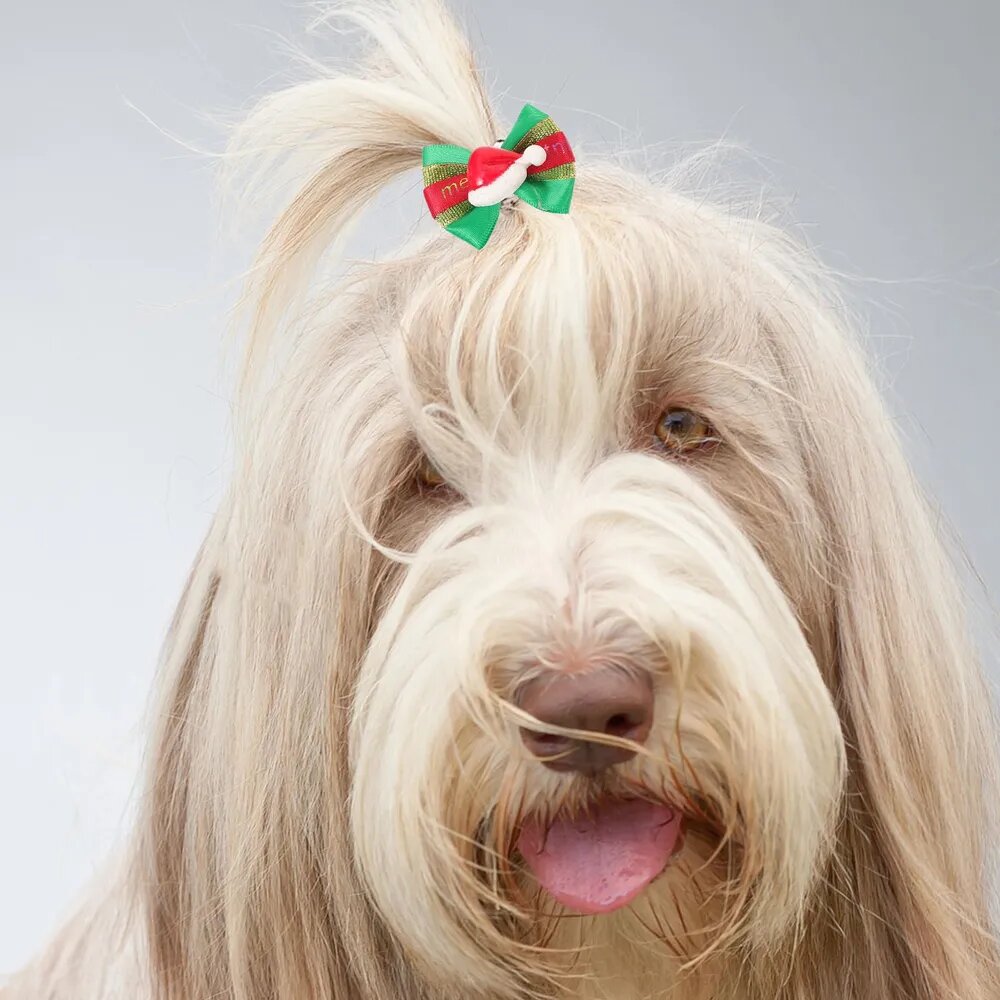 Полиэстеровые бантики для собак разноцветные, набор из 10 штук для декора