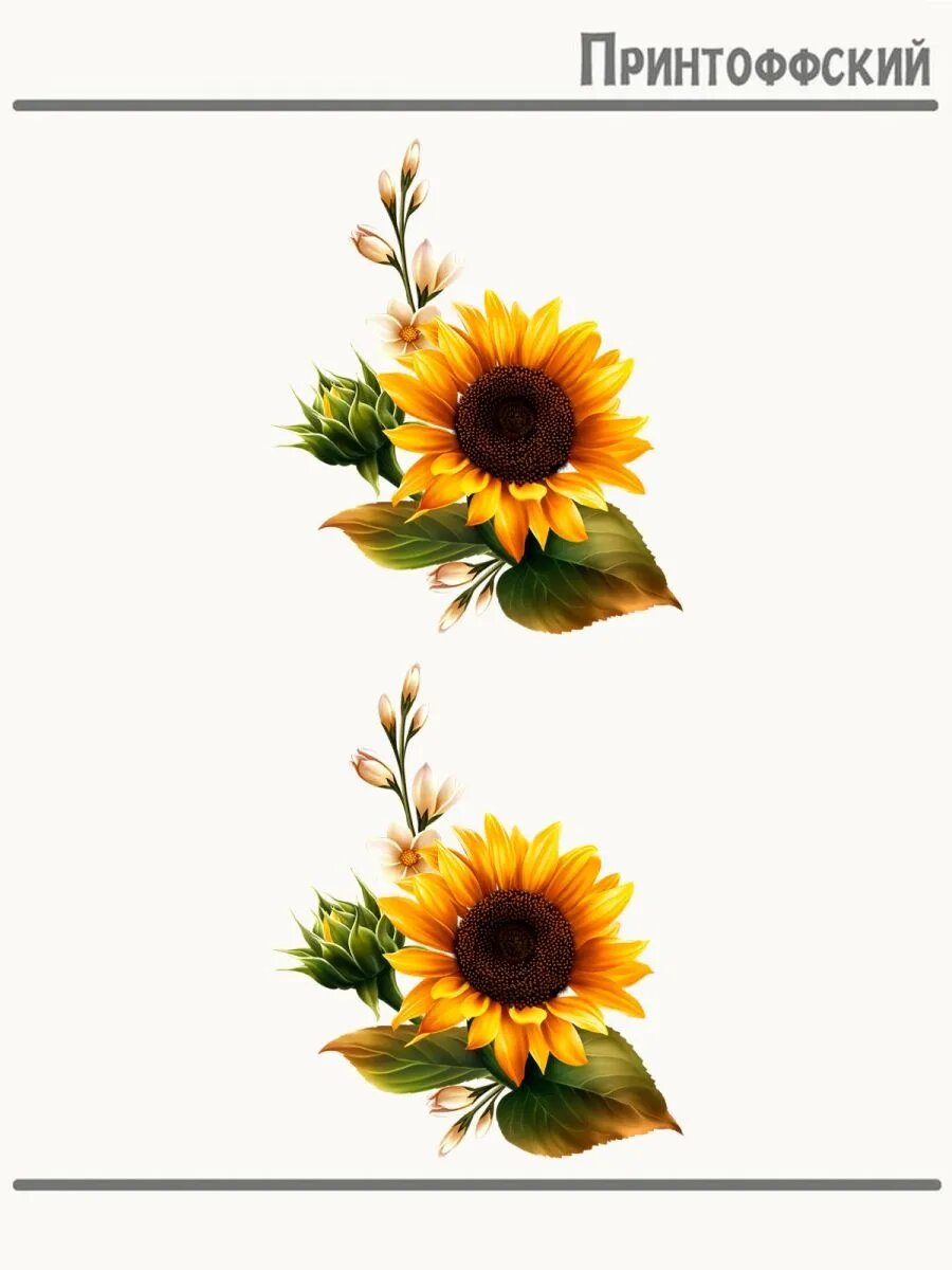 2-е (Две) Термонаклейки flowers sunflower цветы подсолнух
