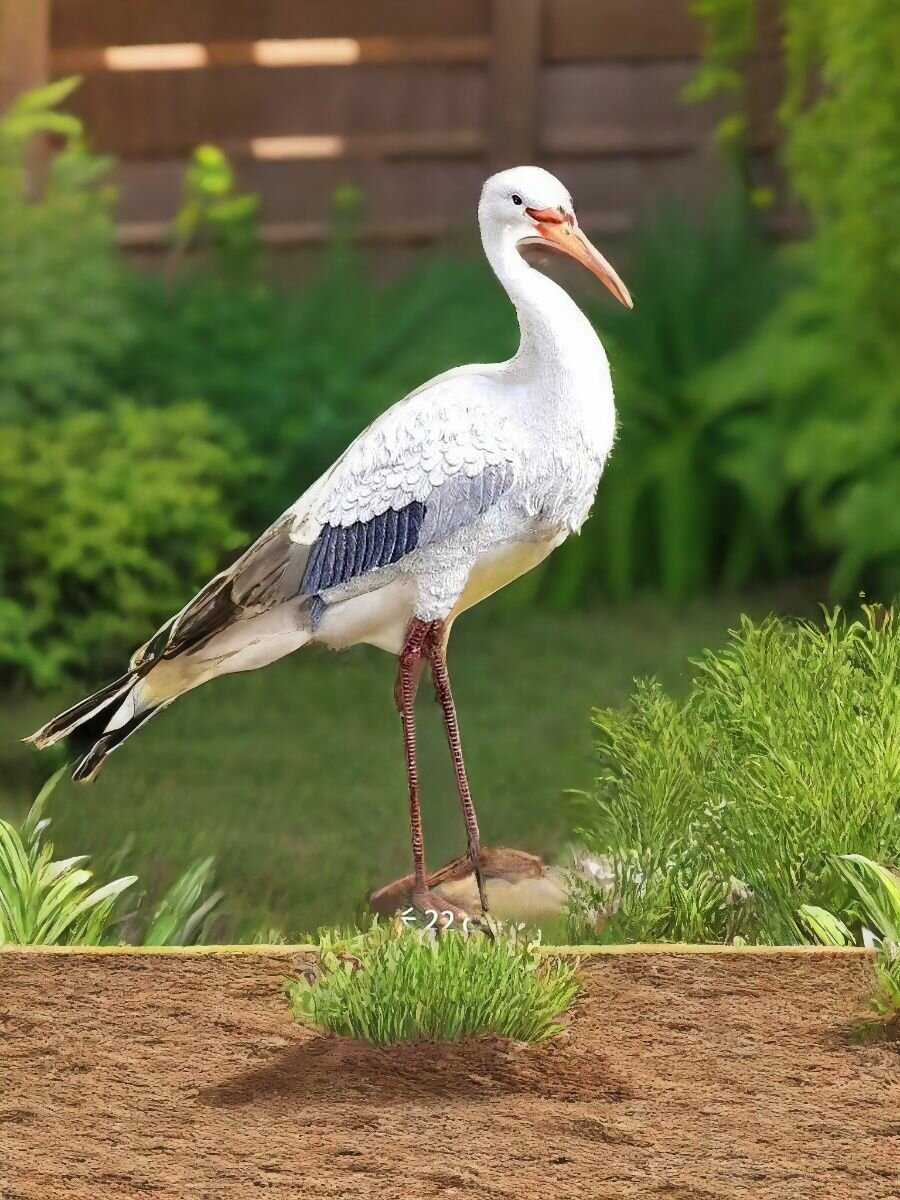 Скульптура цапли, белый