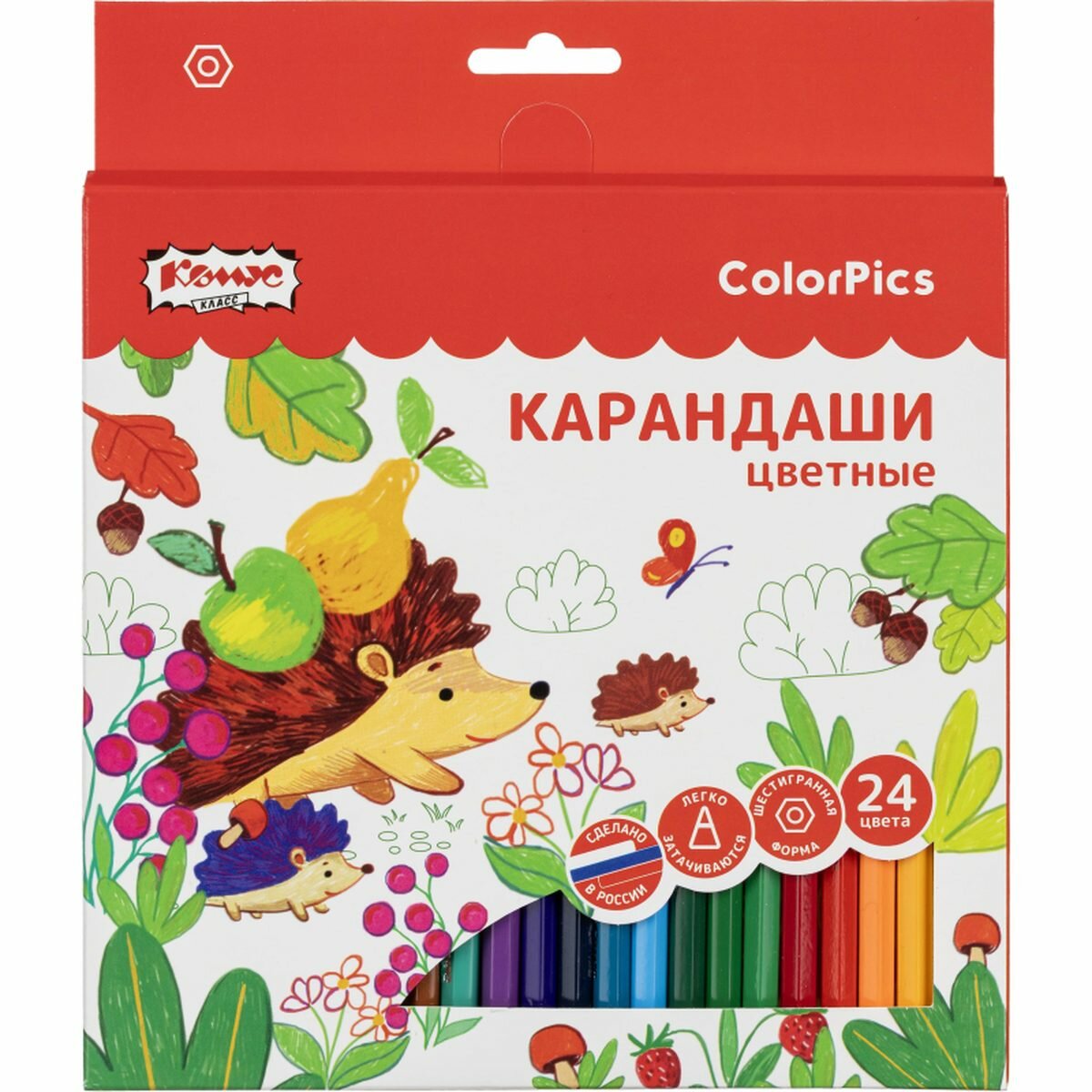Карандаши цветные 24 цвета Комус Класс ColorPics (L=175мм, d=2.9мм, 6гр) (1781680), 8 уп.