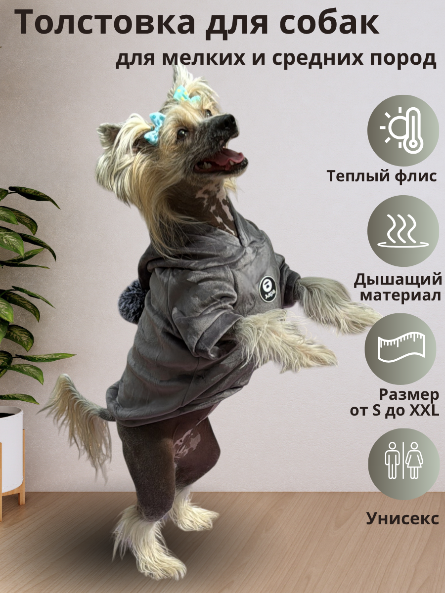 Толстовка с капюшоном для собак мелких пород "Aapa", серый (L)