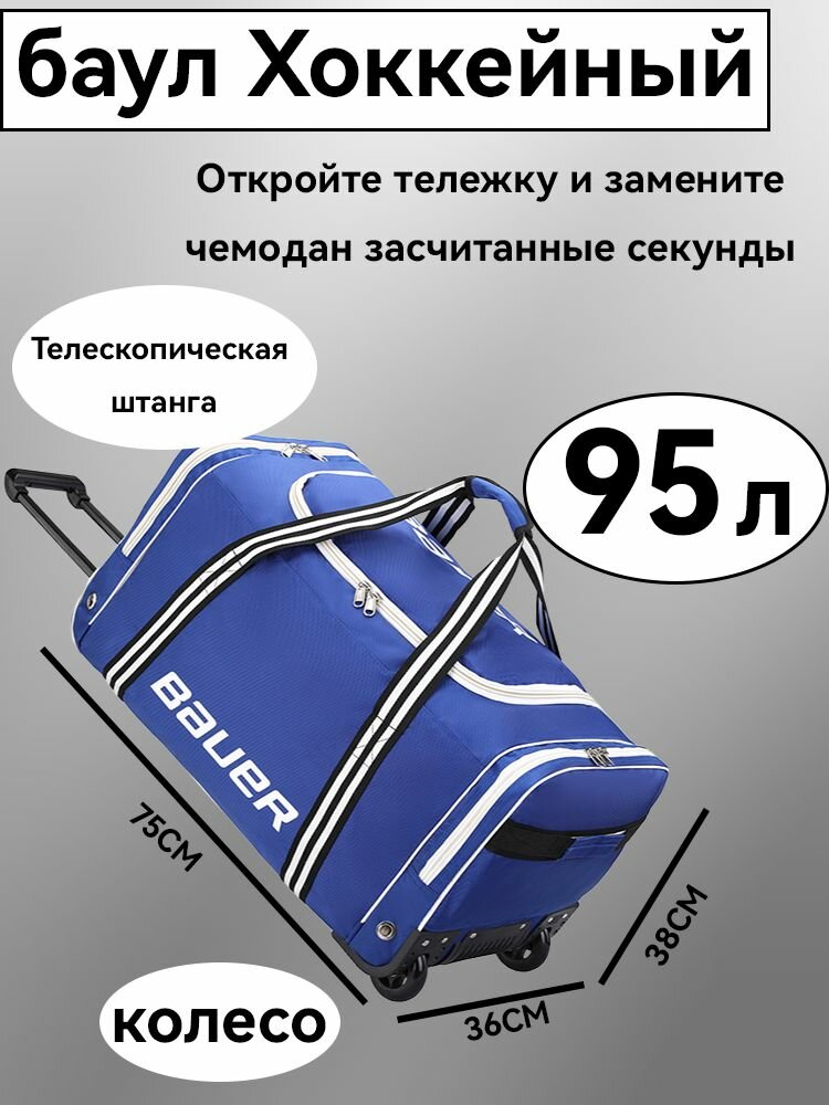 Хоккейный баул