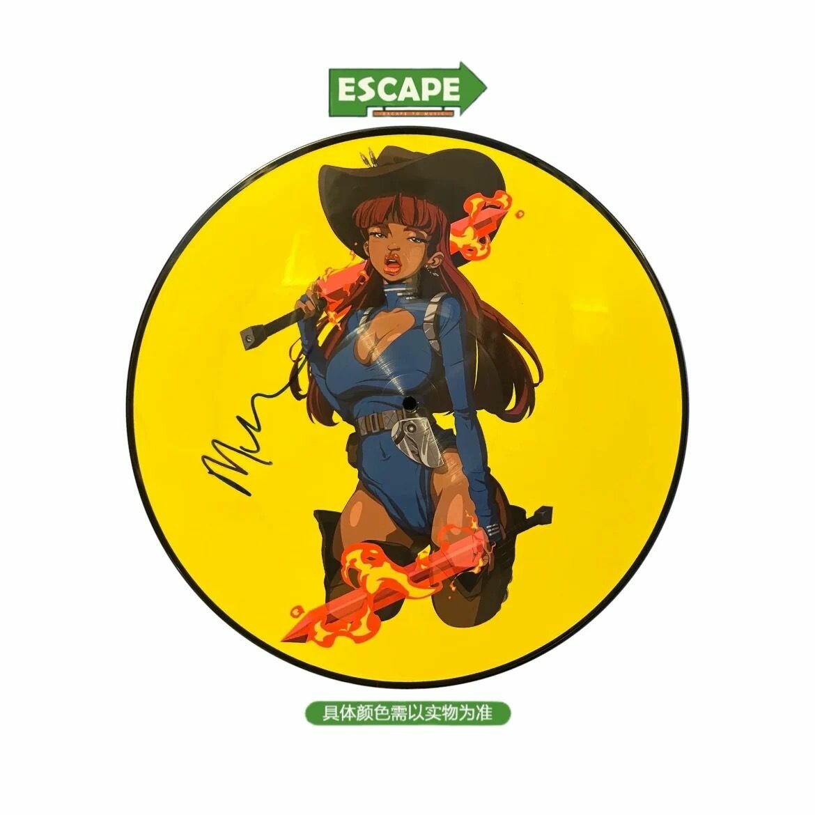 Виниловая пластинка Megan Thee Stallion Savage, Signature painting glue LP