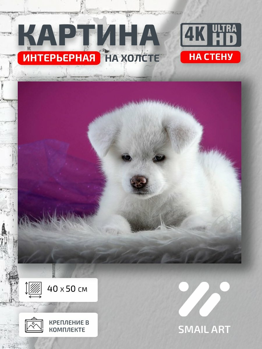 Картина на холсте интерьерная 40 на 50 на стену Шерсть Mood для студии атмосфера интерьер