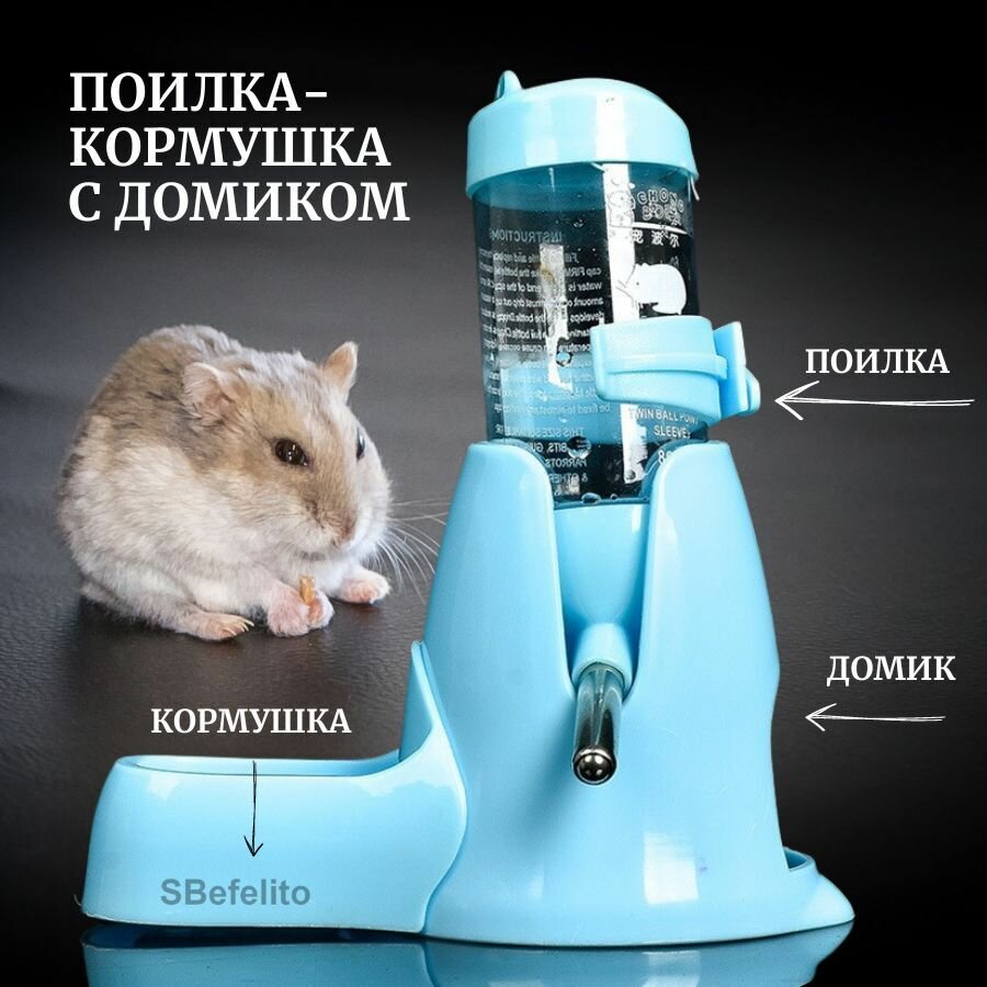 Кормушка с автоматической поилкой и домиком для грызунов (хомяк, мышь, декоративная крыса, дегуи др) , цвет: голубой