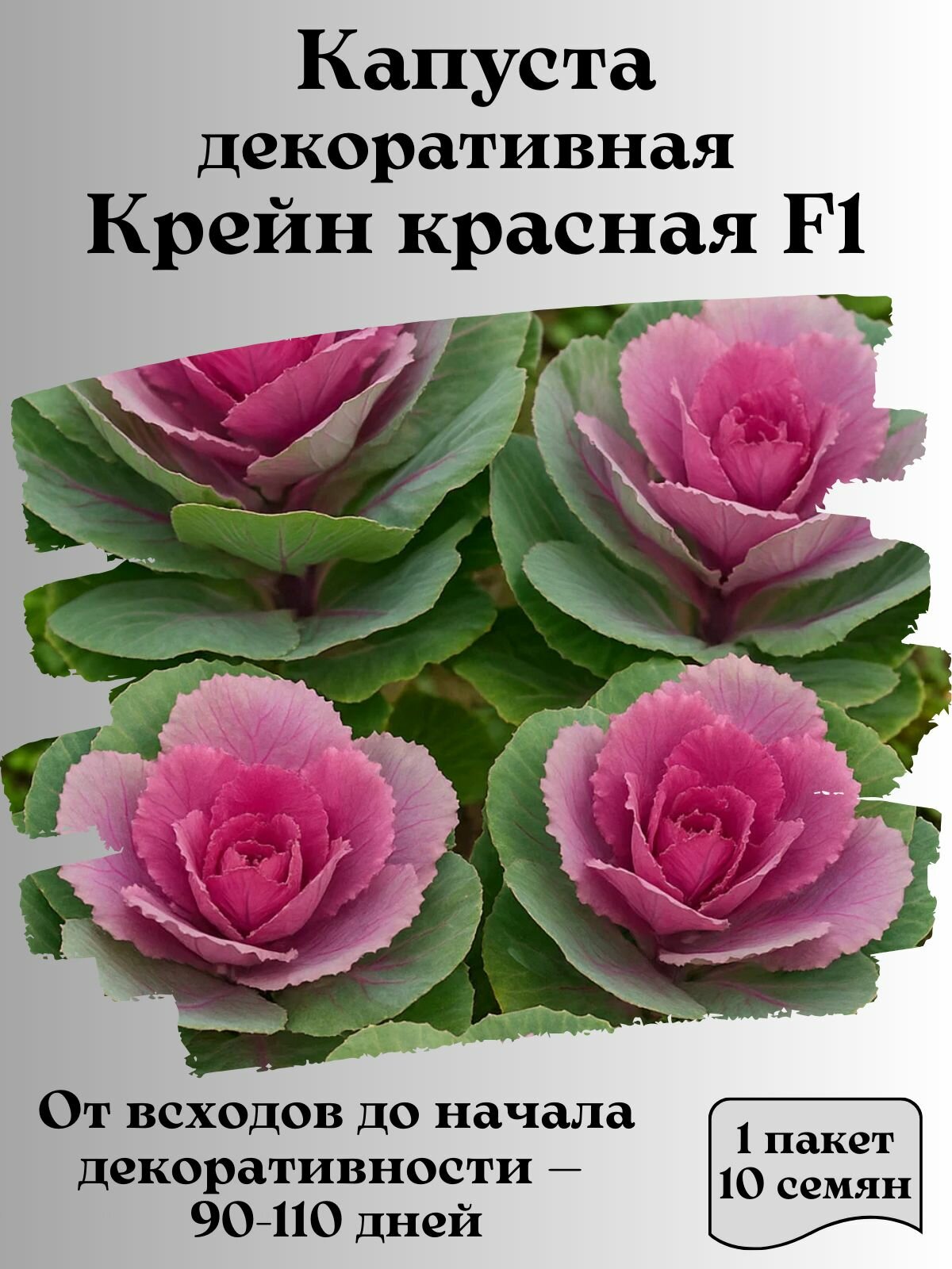 Капуста декоративная Крейн красная F1, семена, 10 шт, 15 гр.