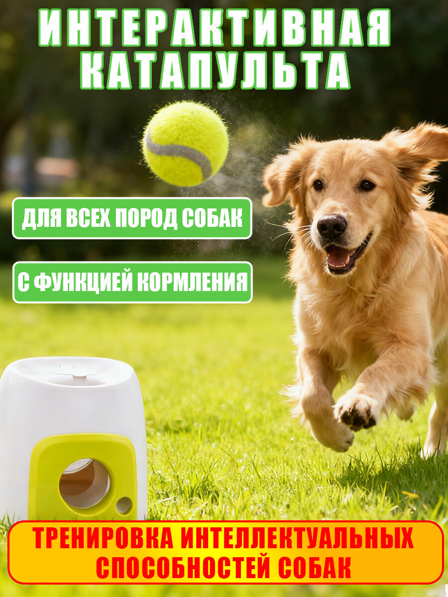 Катапульта мячей для собак интерактивная OZBERRY с 3 мячами