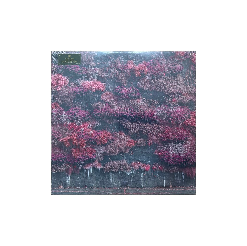 Виниловая пластинка Sleep Token - Even In Arcadia (2 LP)