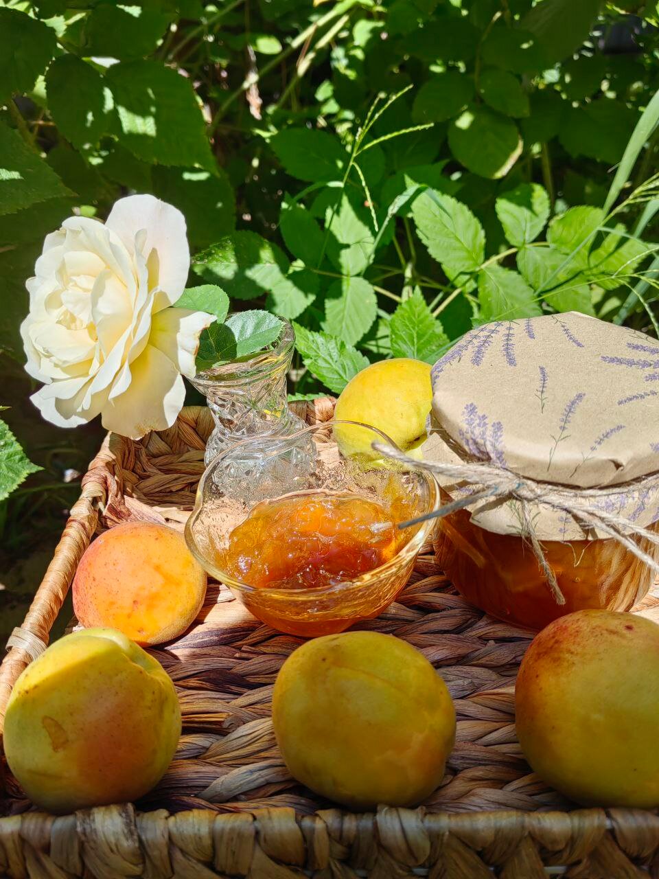 Абрикосовое варенье с лимоном: вкусное лакомство с пользой для здоровья , 350 мл травы придонья ( Россия )