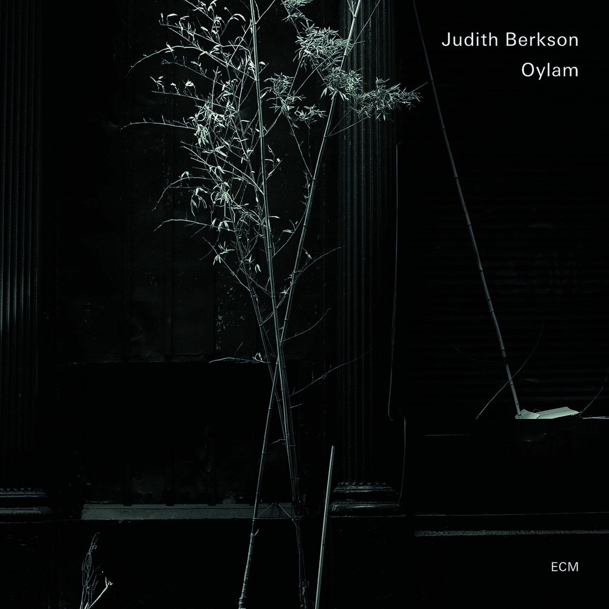 Компакт-диск Judith Berkson - Oylam (1 CD)