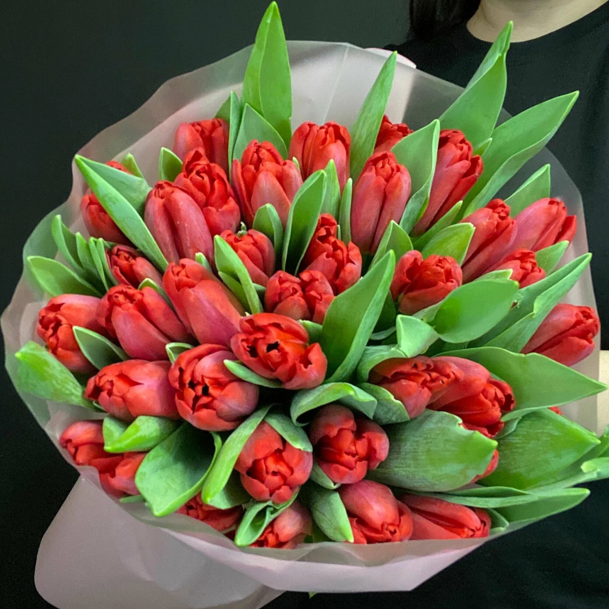 Тюльпаны/ Красные тюльпаны букет 35 штук/ Тюльпаны с доставкой по Москве/ Цветы к 8 марта