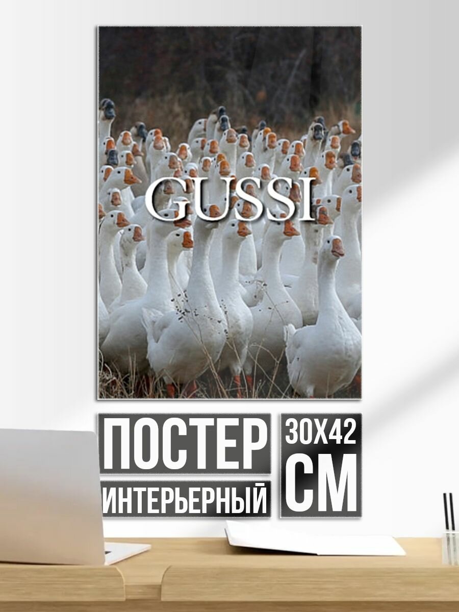 Постер на стену Стая гусей - Gussi