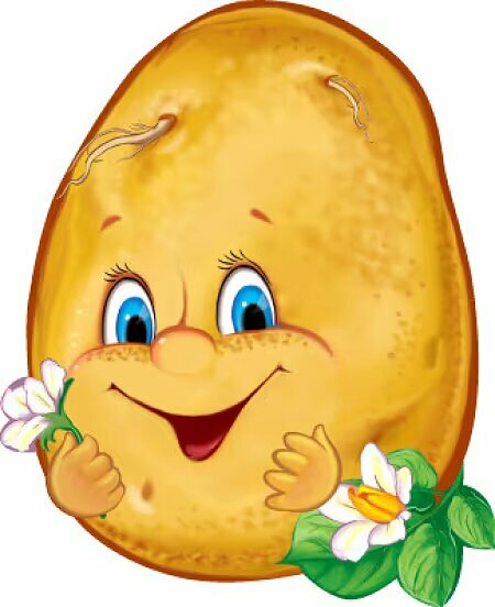 Плакат вырубной Картофель А4 ФМ1-015670 0+ двусторонний Сфера