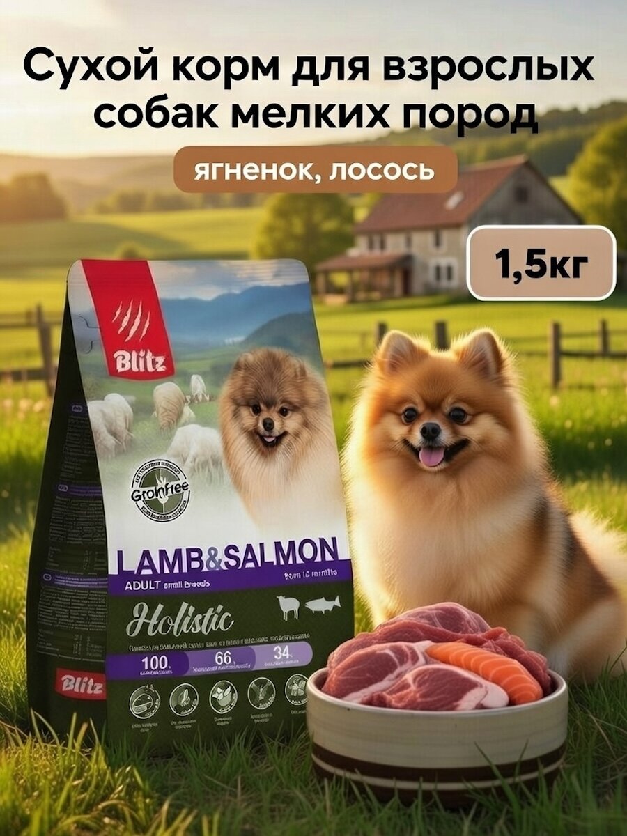 Сухой корм с ягненком и лососем Blitz Holistic Lamb & Salmon для взрослых собак мелких пород 1,5 кг