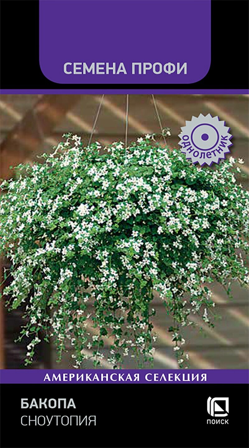 Семена цветов Поиск бакопа Сноутопия 5 шт, для дачи, сада, огорода и на рассаду