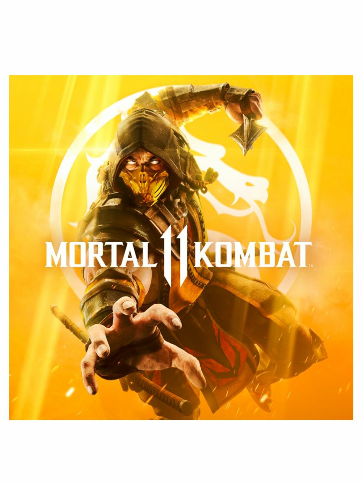 Цифровой ключ Mortal Kombat 11 Nintendo Switch, активация европа