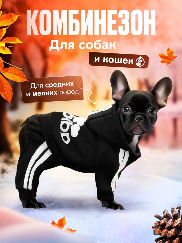 Комбинезон для собак и кошек
