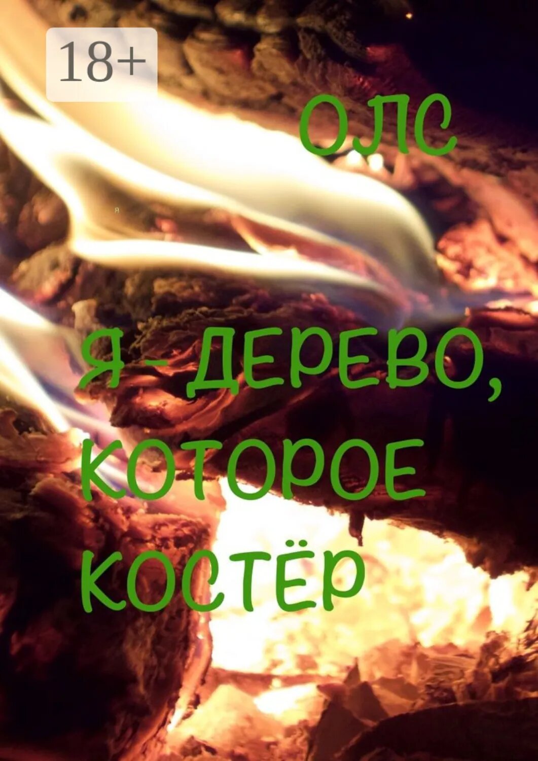 Я – дерево, которое костёр [Цифровая книга]