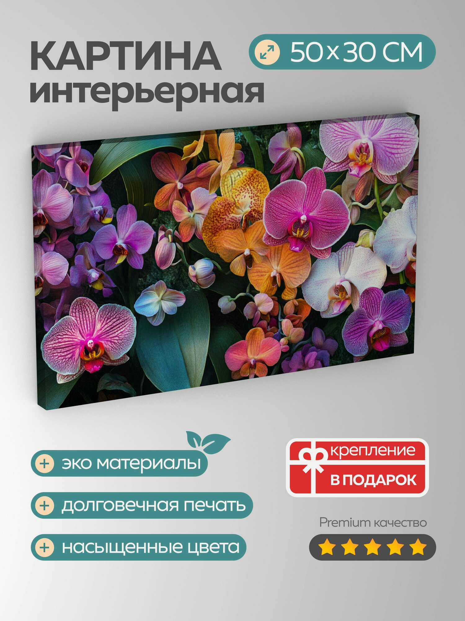 Картина на холсте интерьерная 50х30 см, Орхидеи, сад, цветы, разнообразие, яркие цвета, узоры, мастерство природы