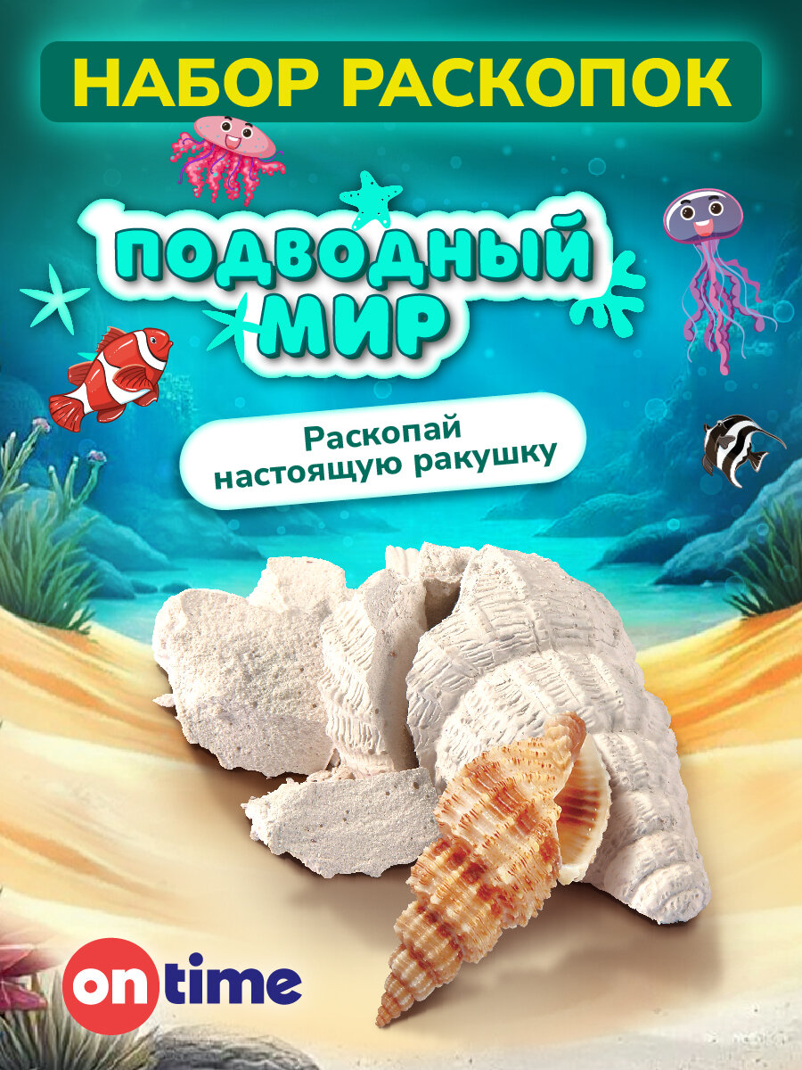 Набор для раскопок On Time "Ракушка", с гипсовым бруском и пластиковым шпателем