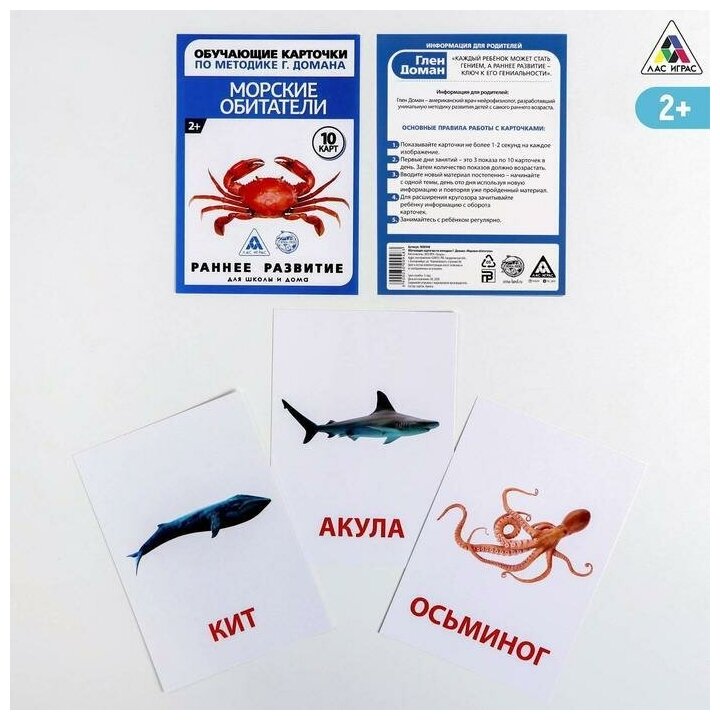Обучающие карточки по методике Г. Домана "Морские обитатели", 10 карт, А6