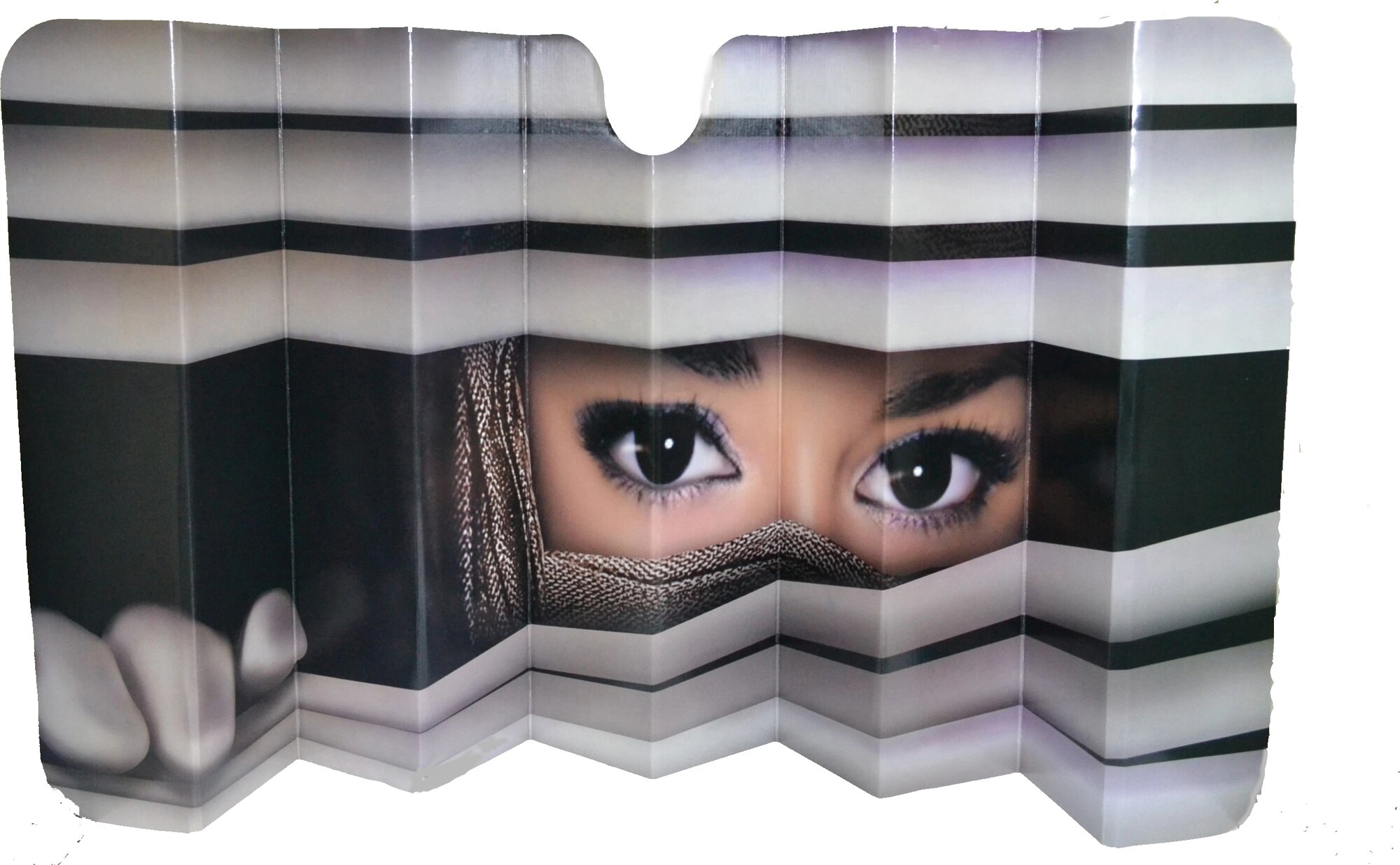 Шторка LPC-60 (C6) 60*130см на лобовое стекло с рисунком Автостор Шторка LPC-60 (C6) 60*130см на лобовое стекло с рисунком