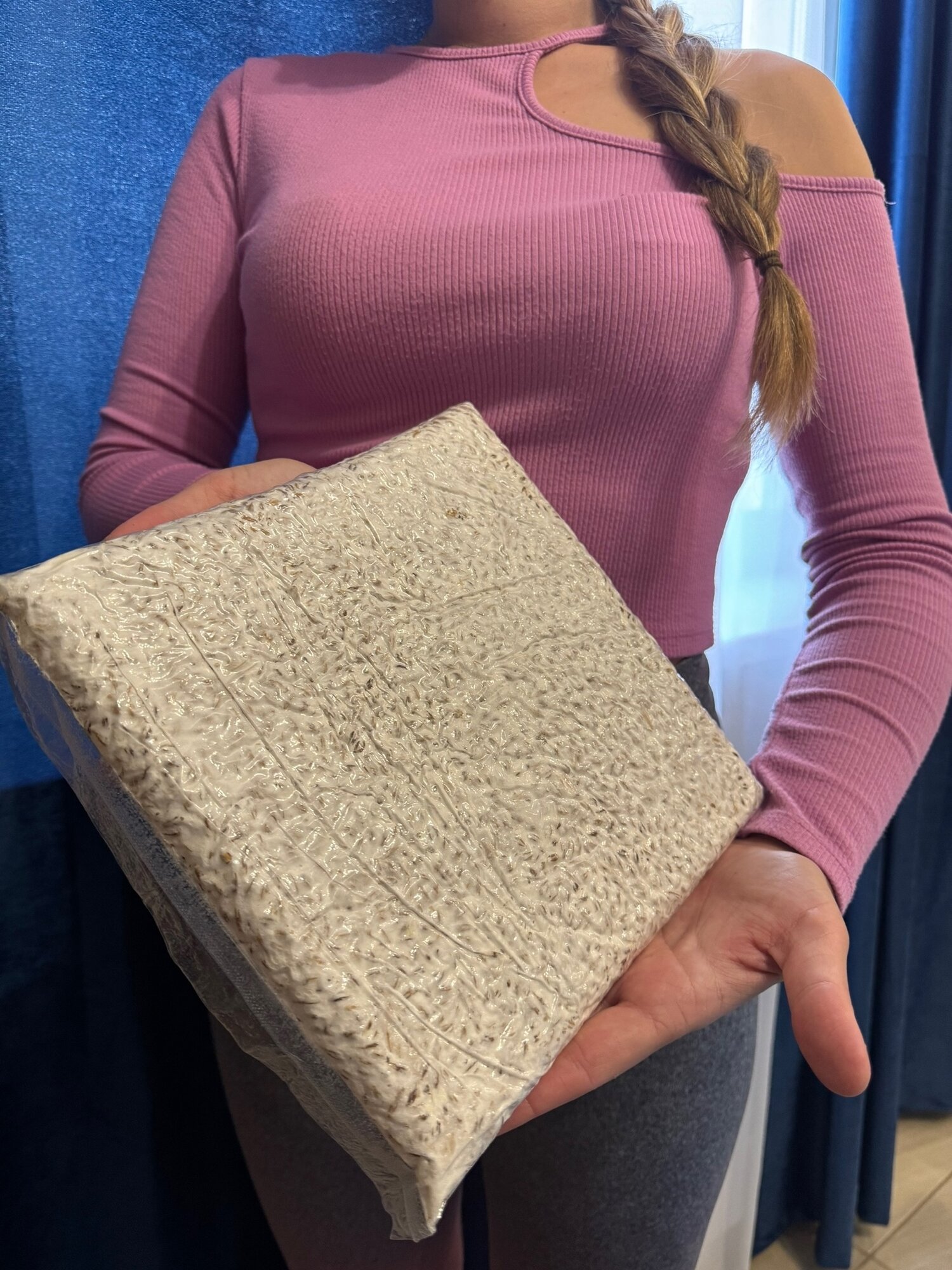 Мицелий зерновой грибов вешенка (штамм т35) - 1 килограмма