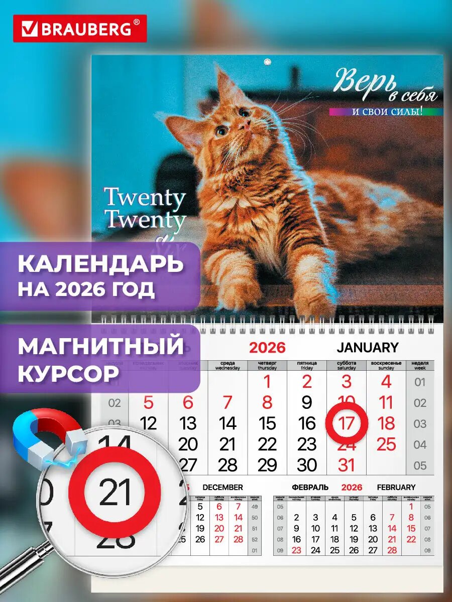 Календарь настенный на 2026 год квартальный отрывной, 1 блок 1 гребень с магнитным курсором, Brauberg Котик, 116923