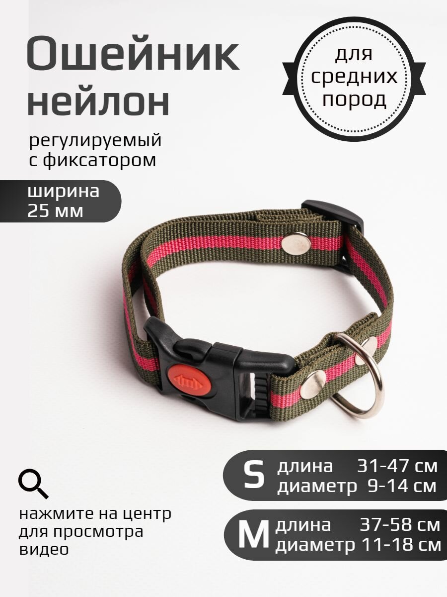 Ошейник Хвостатыч для собак с регулируемым фиксатором нейлон 25 мм (красно-зеленый) размер S