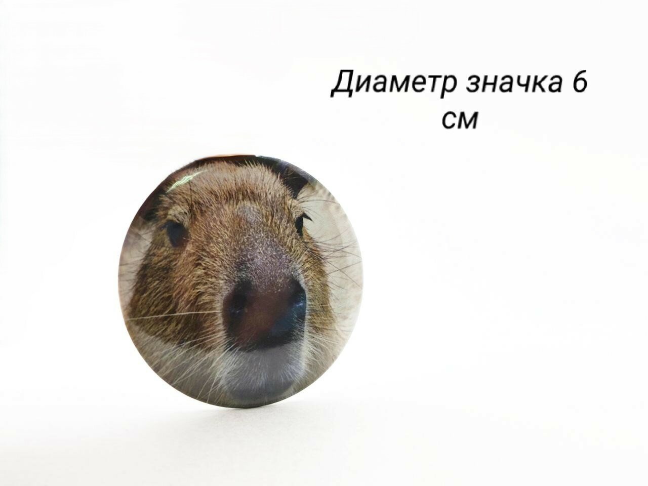 Значок, стильная брошь на одежду, рюкзак и сумки "Капибара" / 1 шт.