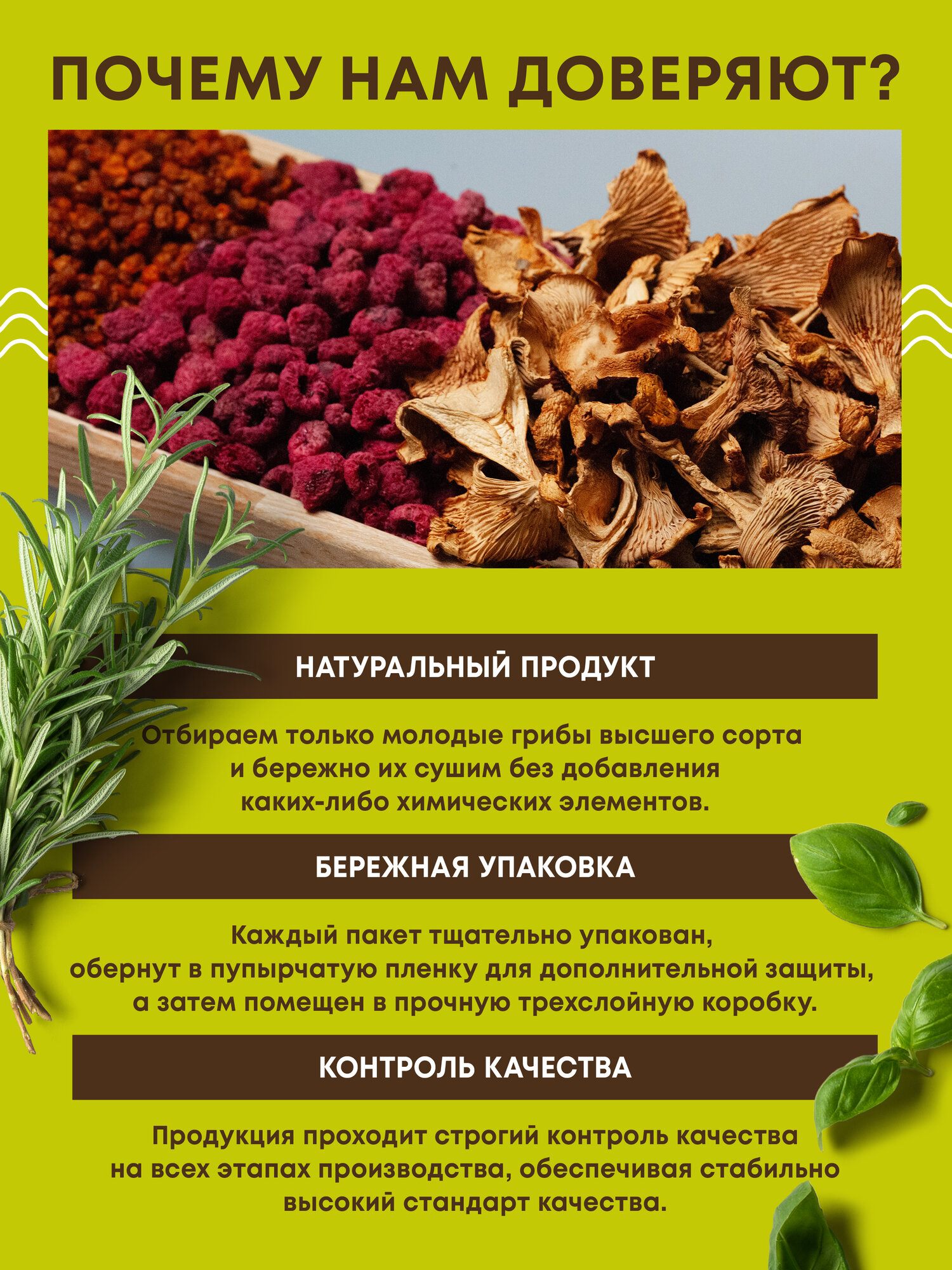 Сушеные грибы Дикодар "Сморчки", 50г, флоу-пак, фермерские, урожай 2025 года — фото 1