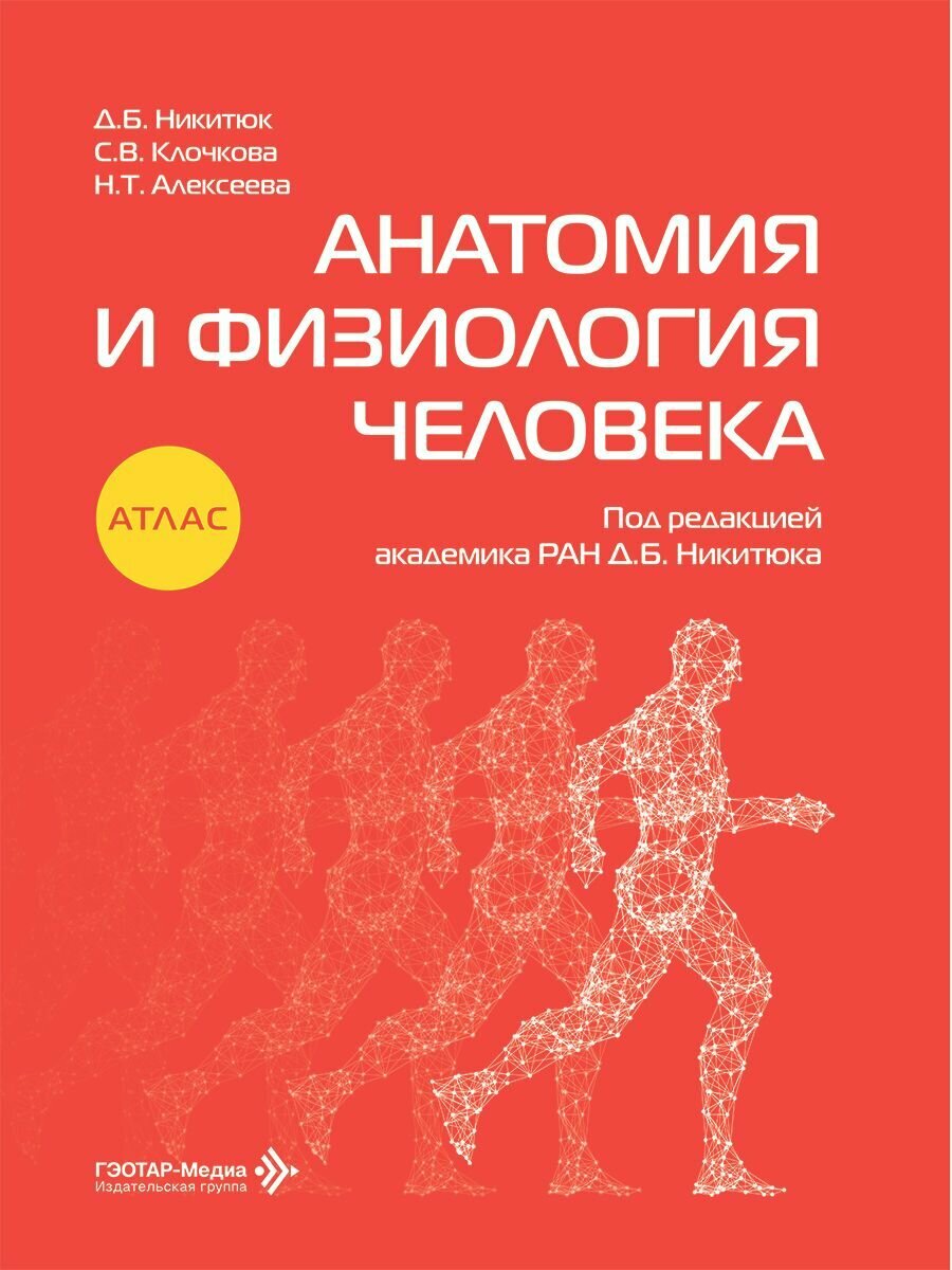 Анатомия и физиология человека. Атлас