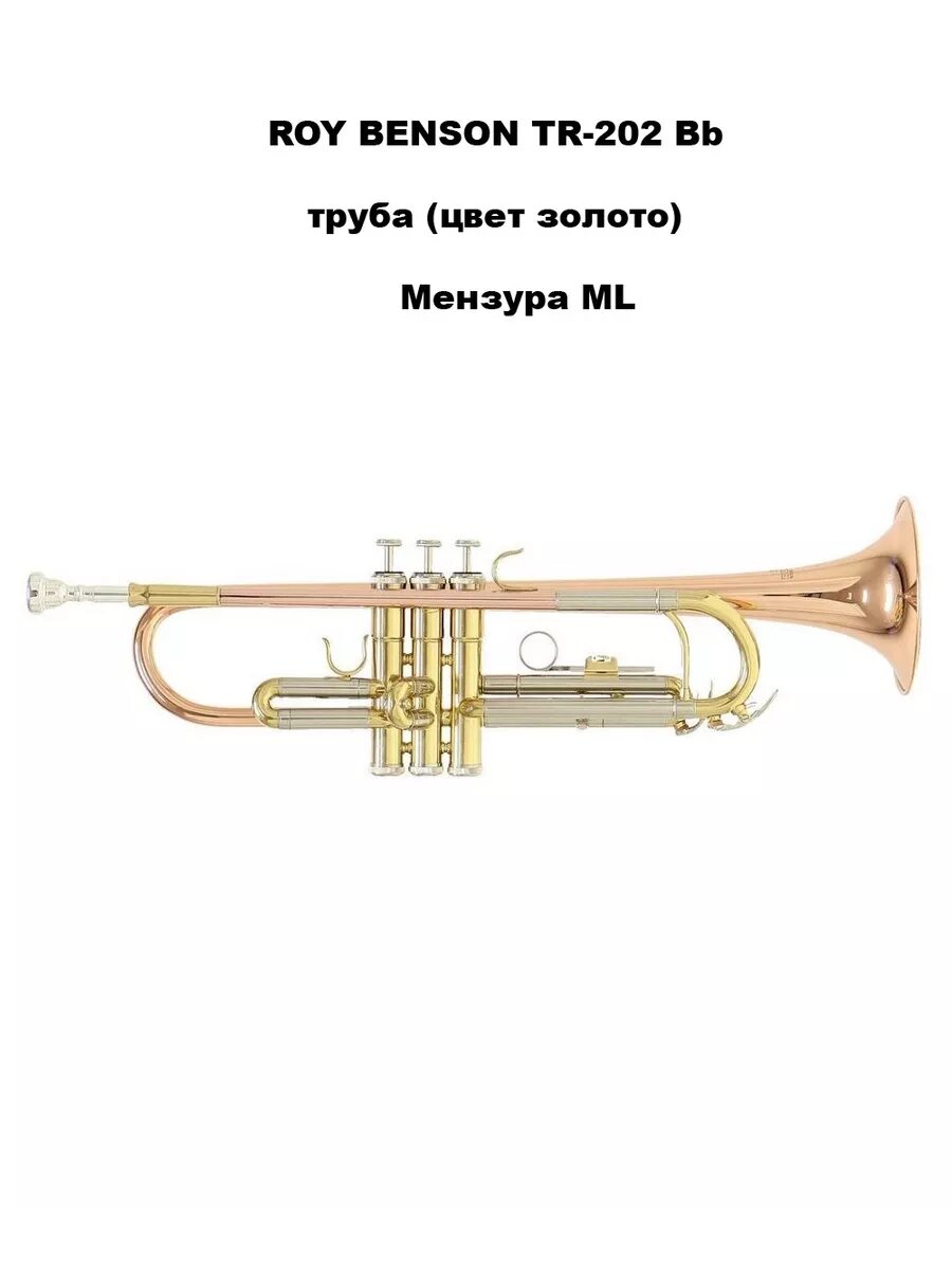 ROY BENSON TR-202 Bb - труба (цвет золото)