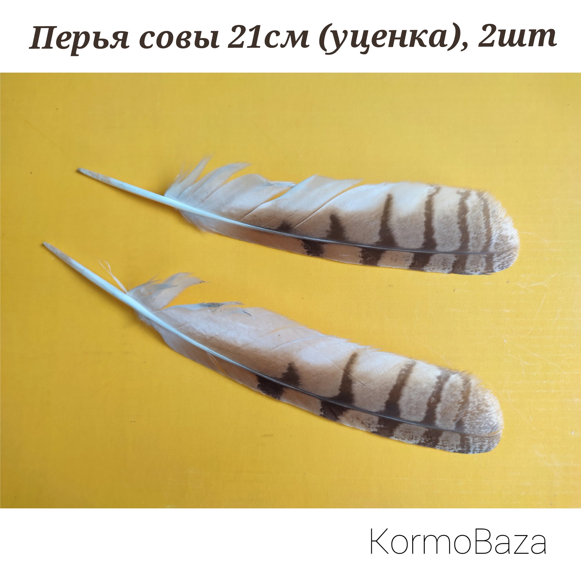 Перья ушастой совы, 2шт. Натуральные перья