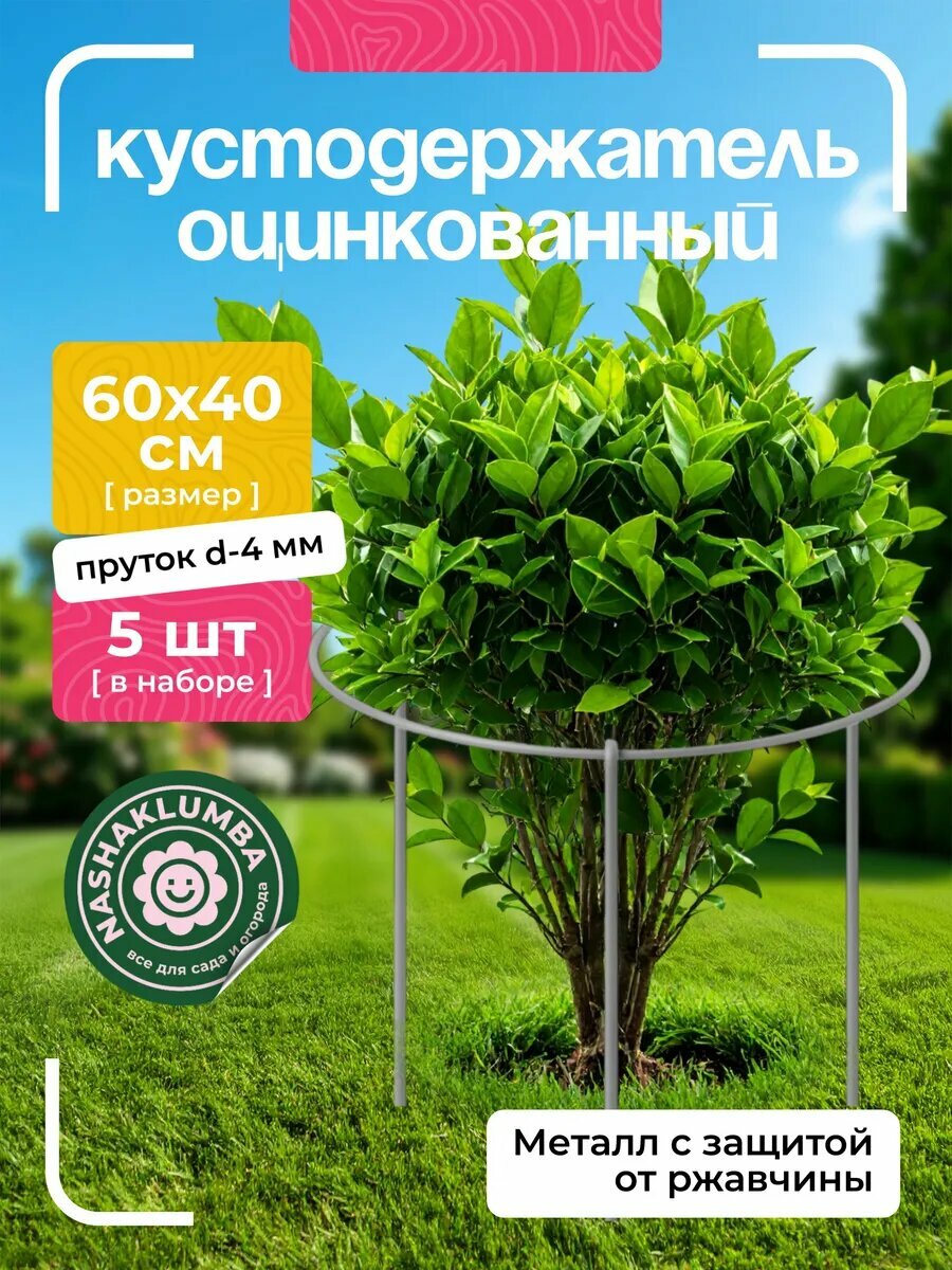 Опора для кустов Садовкин, оцинкованная сталь, высота 60 см, 5 штук