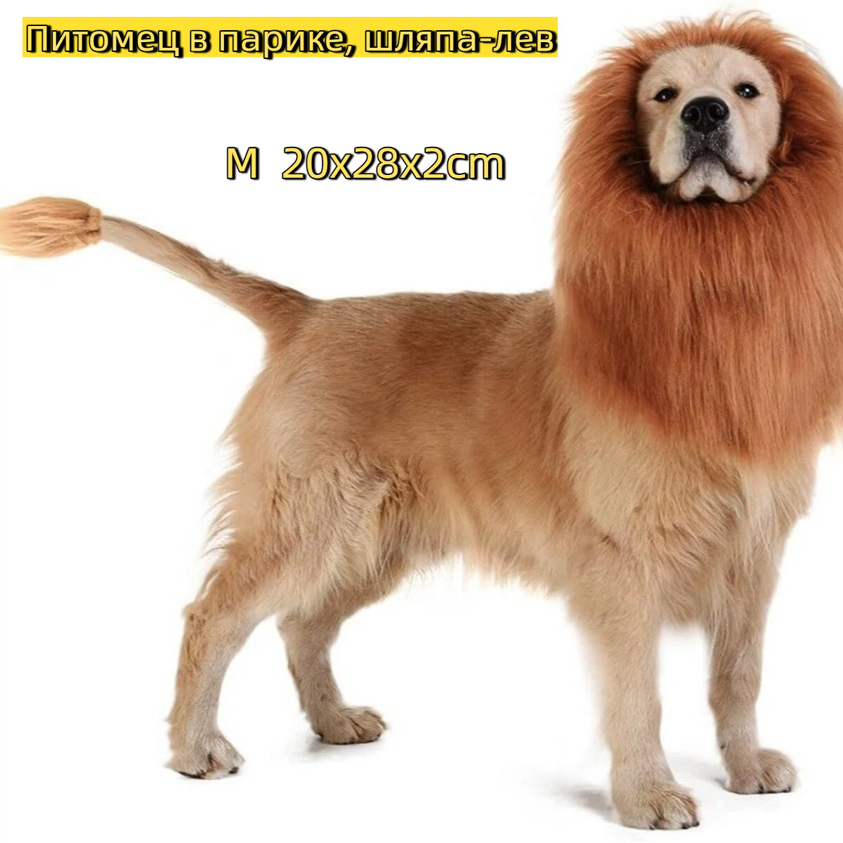 Забавный львиный капюшон с ушами Шляпа с ушами Король джунглей капюшон