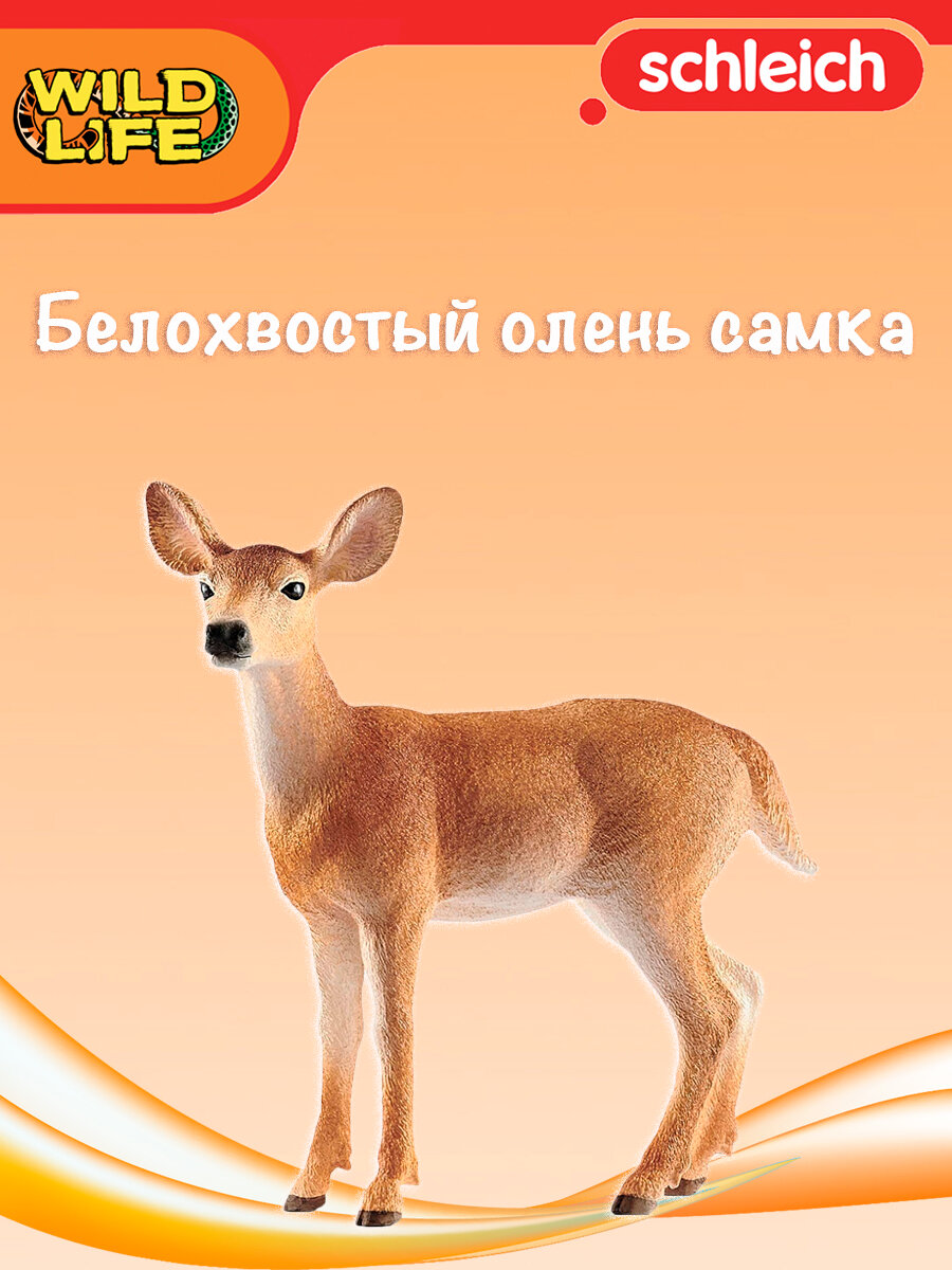 Schleich Wild Life Фигурка Белохвостый олень самка, для детей от 3 лет, 14819