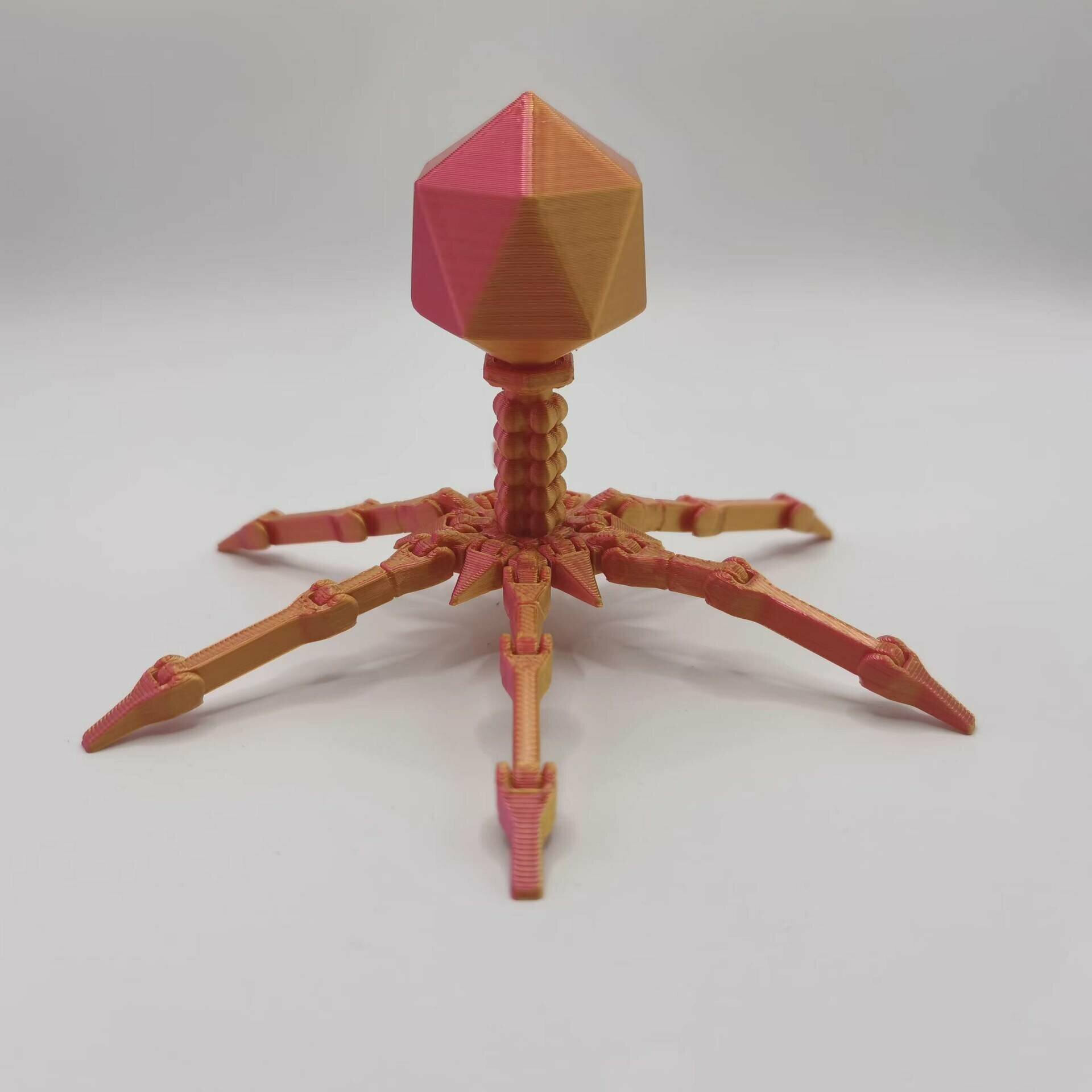 3D-печатная подвижная модель бактериофага: креативный подарок, увлекательное образовательное средство, биологический