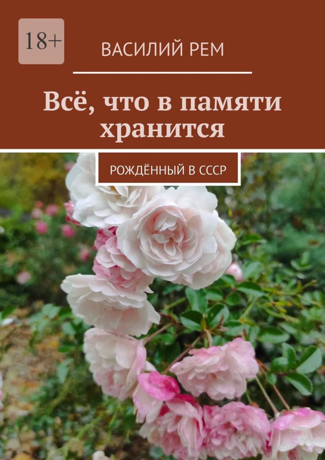 Всё, что в памяти хранится. Рождённый в СССР [Цифровая книга]