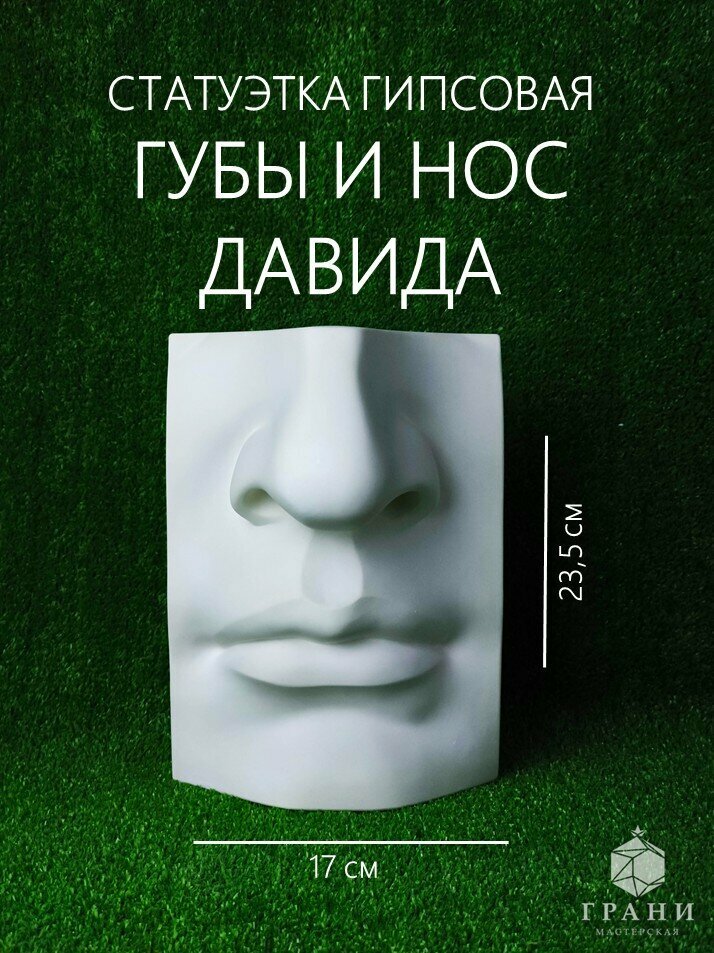 Гипсовая фигура "Губы и нос Давида", 23х17, учебное пособие для художников, подарок художнику, Мастерская "грани"