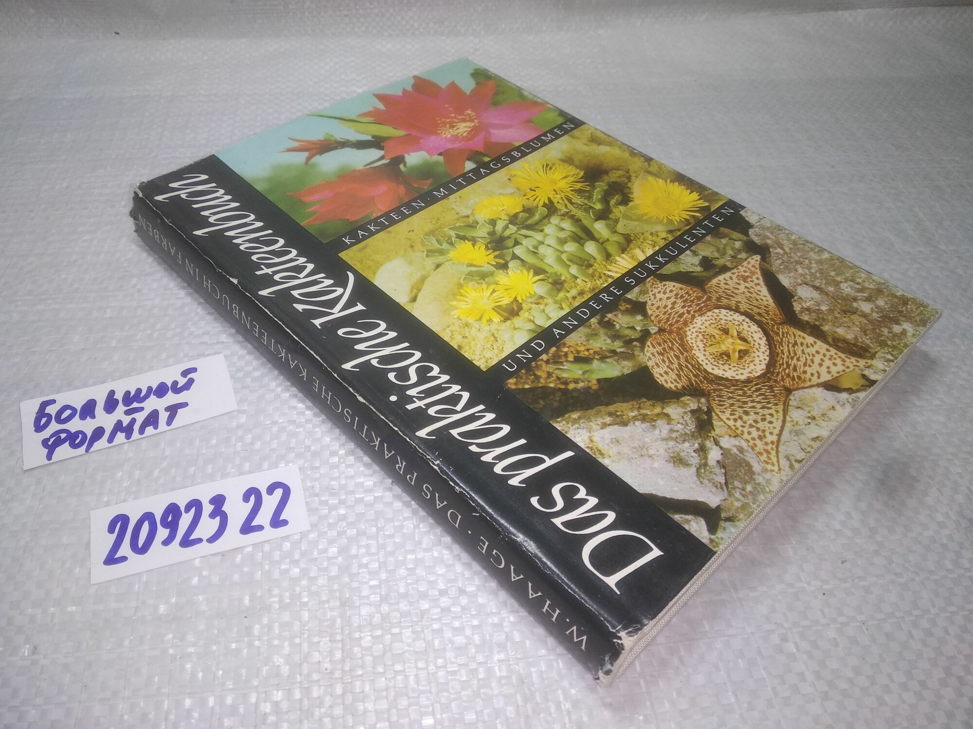Das praktische kakteenbuch in farben/Руководство по кактусам