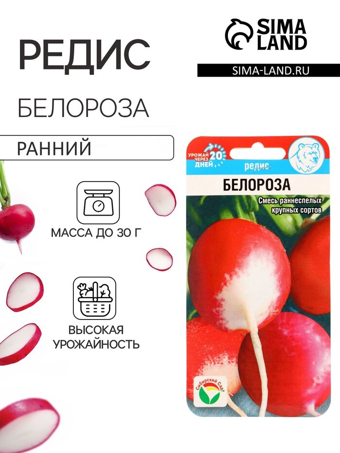 Семена Редис «Белороза», смесь, 2 г, «Сибирский сад»