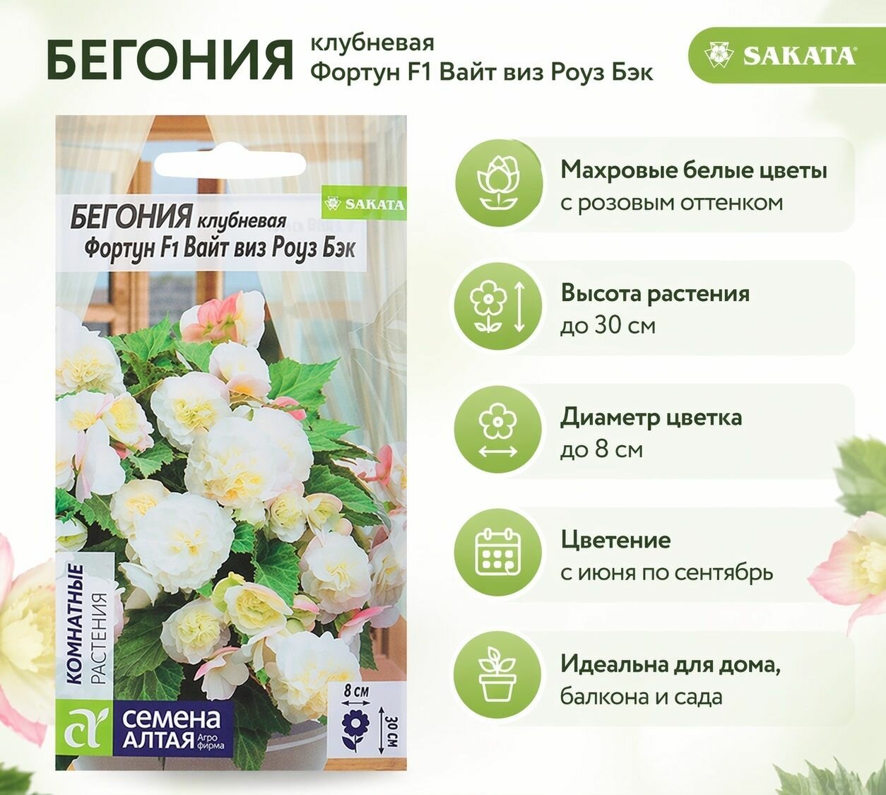 Семена цветов бегония Вайт виз Роуз . 4 шт.