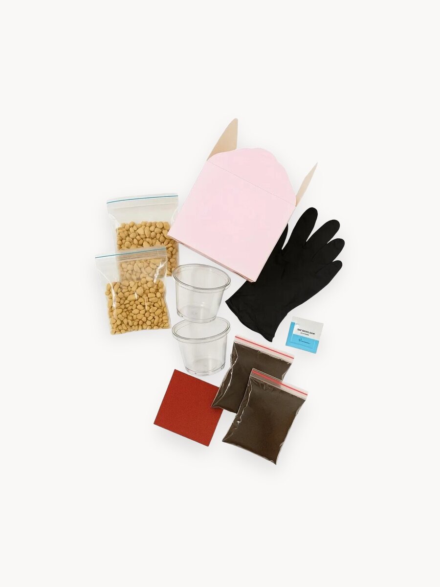 Набор для выращивания семян лотоса в горшке "Волшебный лотос" , подарочная упаковка