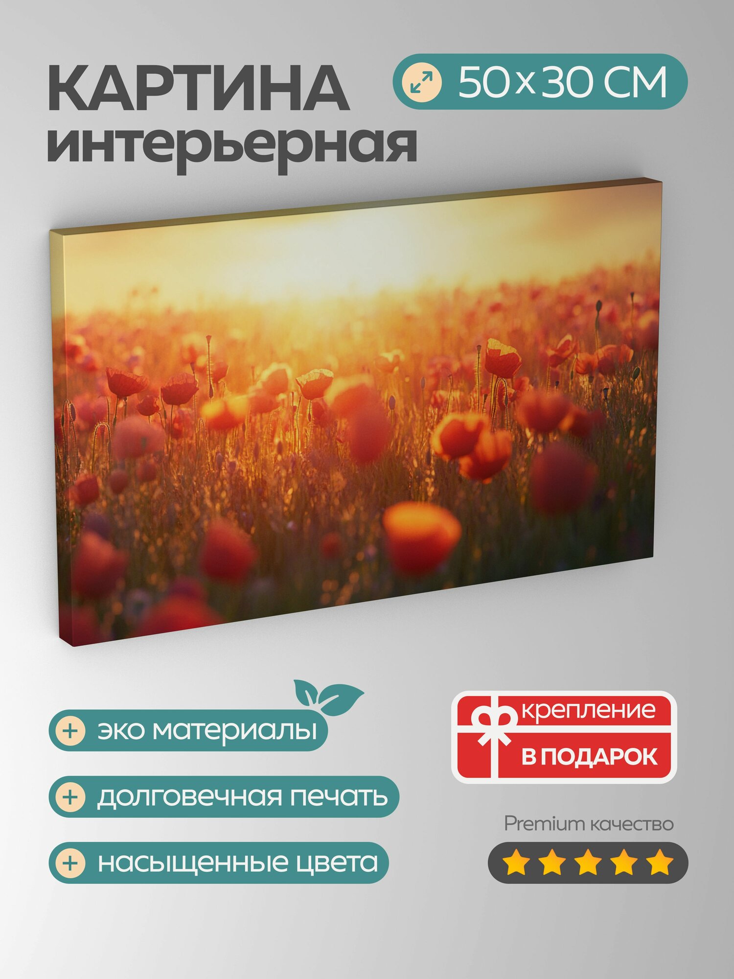 Картина на холсте интерьерная 50х30 см, мак, закат, свет, лепестки, поле, красота, дикий, пейзаж, разрешение, 50 мм